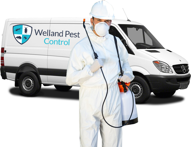 Welland Pest Control - Home